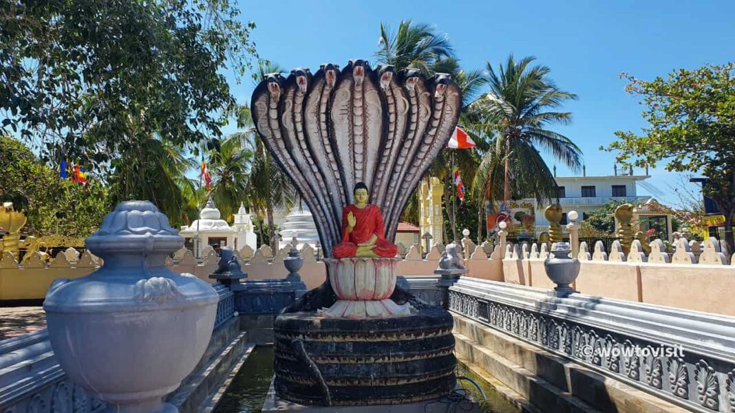 Nagadeepa Temple Sri Lanka: A Sacred Haven For Pilgrims - Wowtovisit